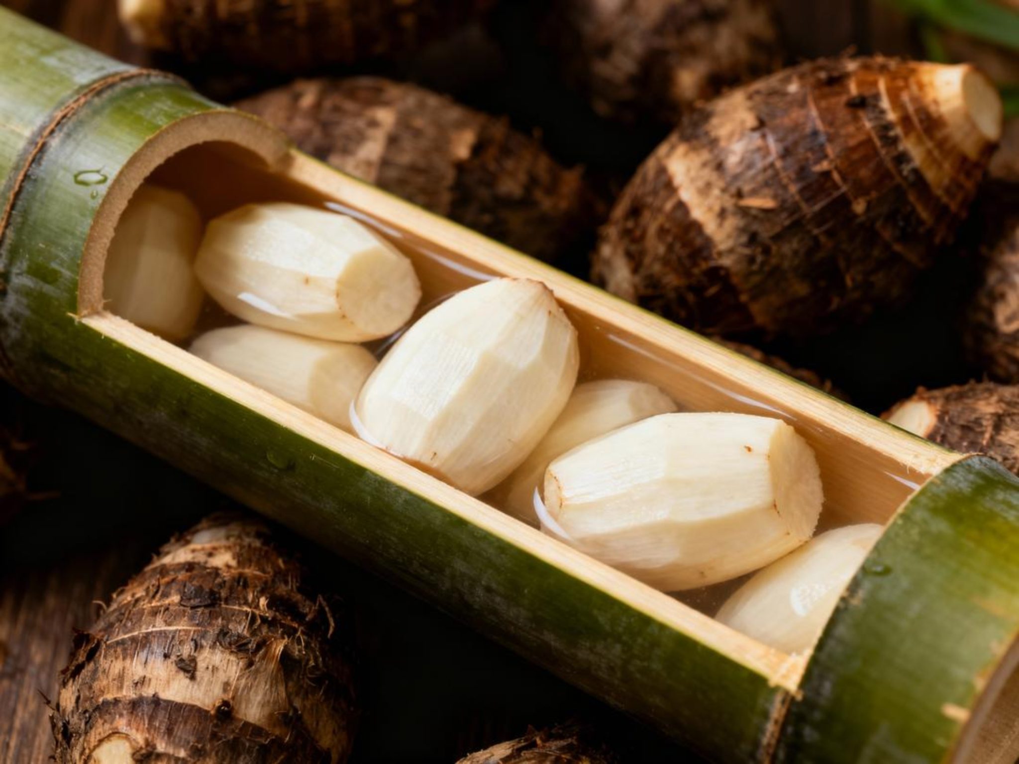 Gadung (Dioscorea hispida): Umbi Beracun yang Jadi Sumber Pangan dan ...